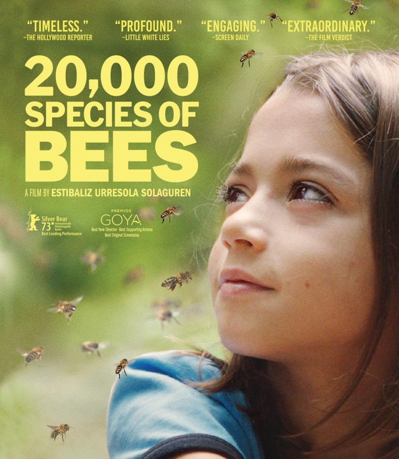 20 000 Species Of Bees 20 000 Species Of Bees | Bull Moose