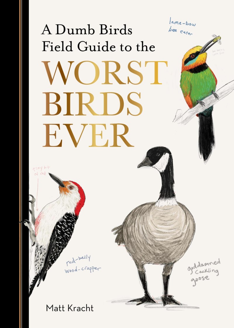 Matt Kracht A Dumb Birds Field Guide To The Worst Birds Ever | Bull Mo